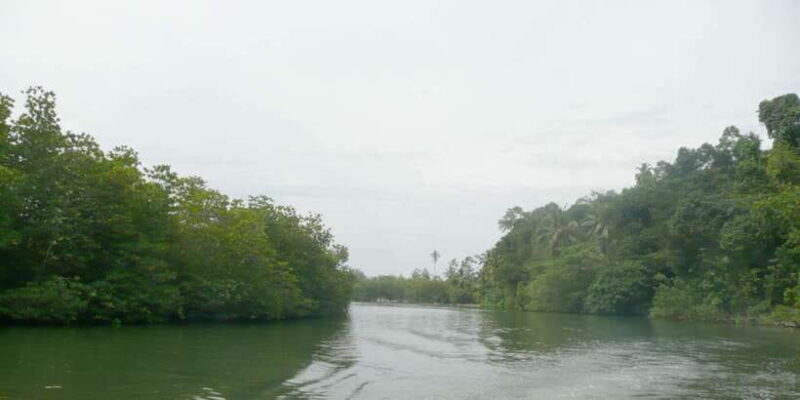 West coast Beach, River Mangroves lagoon, Wildlife boat Tour - FAQ