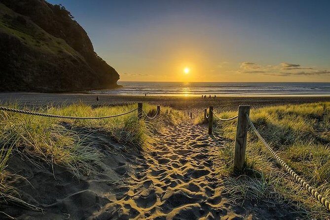 West Coast Discovery - Piha Beach or Muriwai Beach from Auckland - Key Points