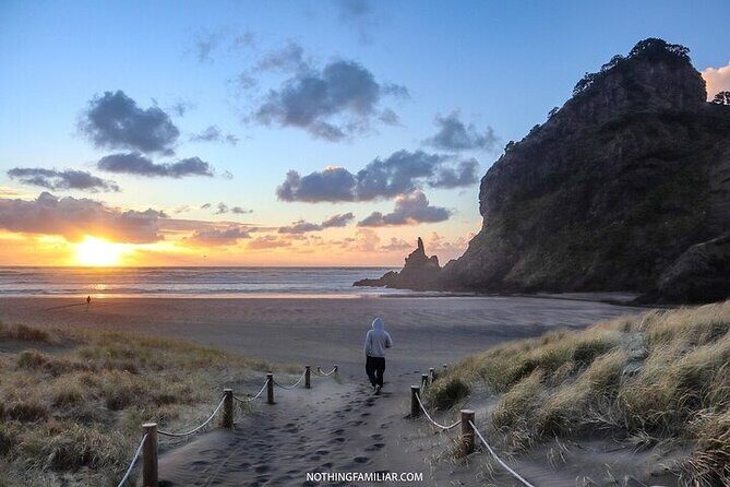 West Coast Discovery Piha Beach Private Tour - Key Points