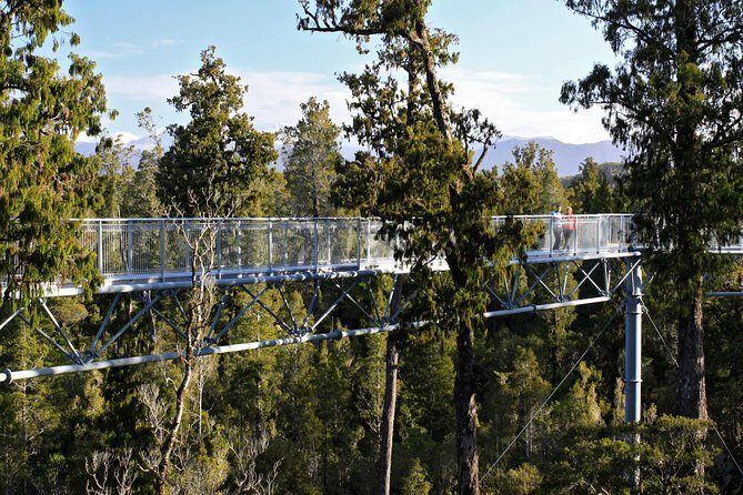 West Coast Tree Top Walk Experience - Location & Accessibility
