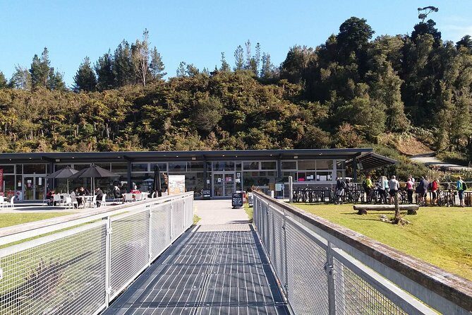 West Coast Tree Top Walk Experience - Wildlife & Nature Experiences
