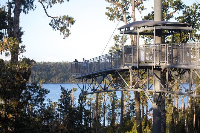 West Coast Tree Top Walk Experience - Practical Tips & Considerations