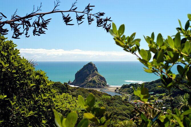 West Coast Wilderness Experience - Private Tour From Auckland - Who Should Consider This Tour?