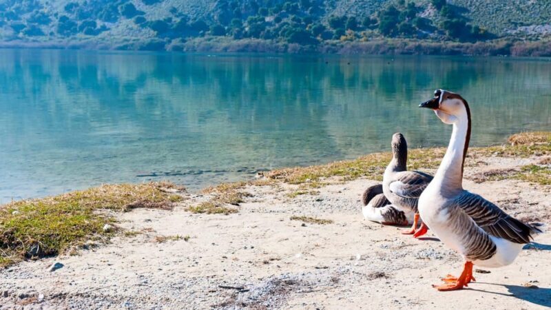 WEST CRETE:CHANIA-KOURNAS-RETHIMNO - Frequently Asked Questions