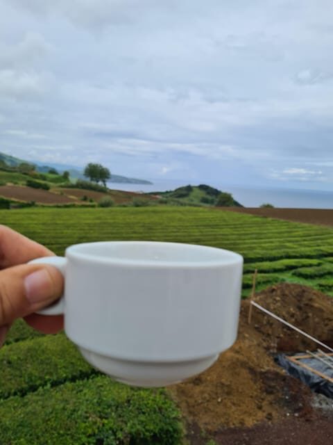 West & East São Miguel Island Private Tour - FAQs