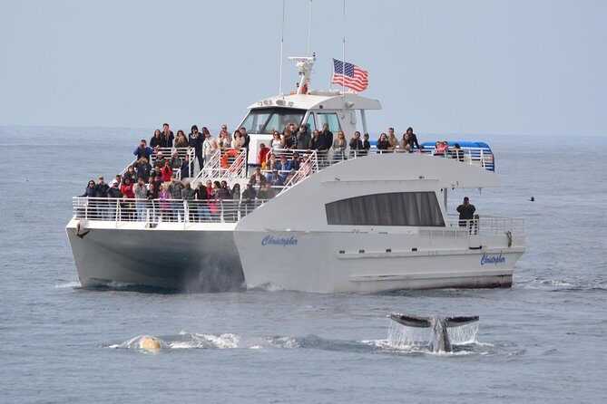 West Harbor LA Whale and Dolphin Watching Cruise - Key Points