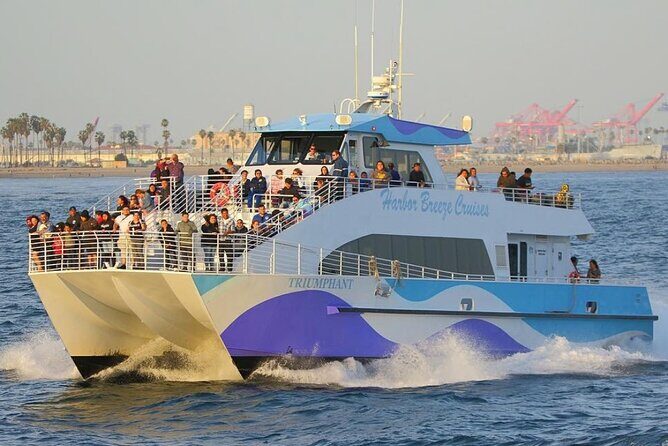 West Harbor LA Whale and Dolphin Watching Cruise - FAQ