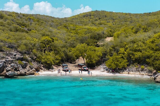 West Island & Beach Safari - The Sum Up: Who Is This Tour Best For?