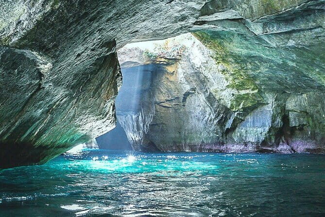 West IZU Uncovered Tour Cave Cruise and Monkey Encounter - A Deep Dive into the Izu Experience