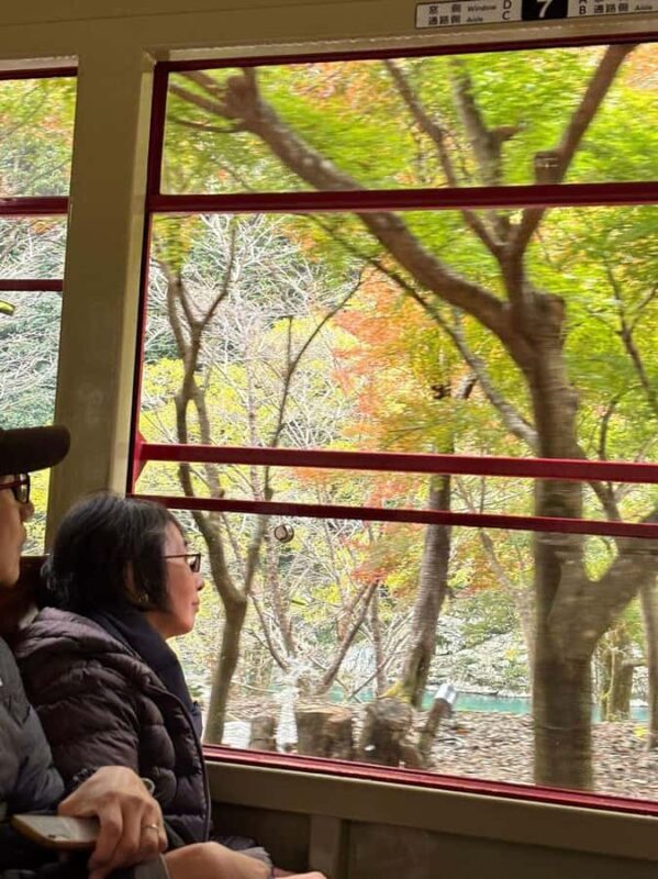 West Japan by Shinkansen: 23 Day Premium Rail Tour - Transportation and Group Dynamics