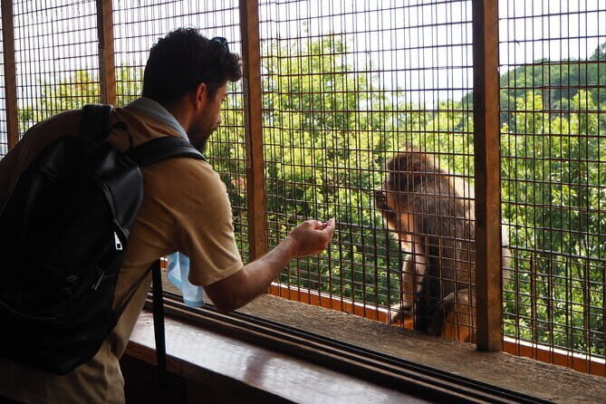 West Kyoto & Arashiyama: Walking 1Day Tour w/Matcha & Calligraphy - Exploring Kyoto with a Balanced Approach