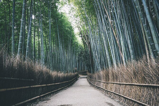 West Kyoto & Arashiyama: Walking 1Day Tour w/Matcha & Calligraphy - Final Thoughts: Who Will Love This Tour?
