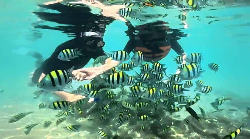 West Lombok: Gili Nanggu, Gili Sudak and Gili Kedis - A Closer Look at the Itinerary and What You’ll Experience