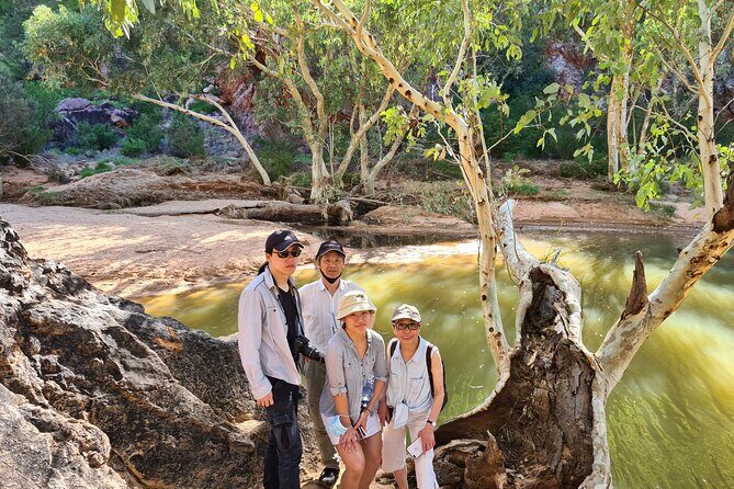 West MacDonnell Ranges Day Trip from Alice Springs - The Experience: What Travelers Say