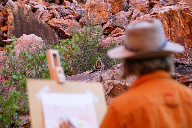 West MacDonnell Ranges Day Trip from Alice Springs - Who Should Consider This Tour?