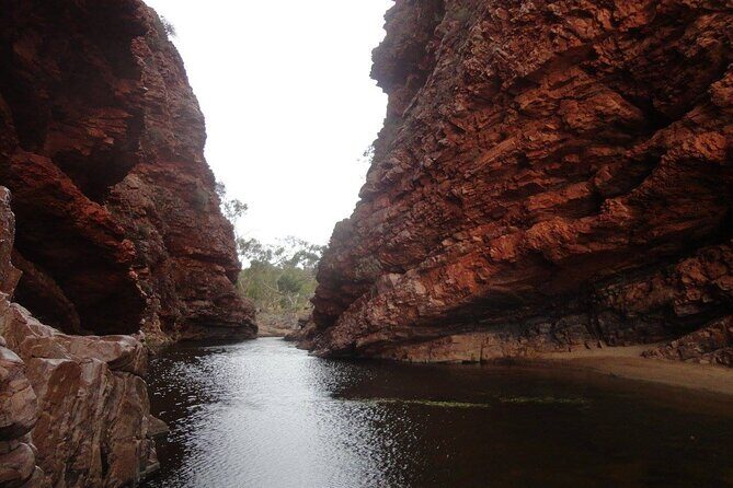 West MacDonnell Ranges Half day Tour -Small Group - Introduction