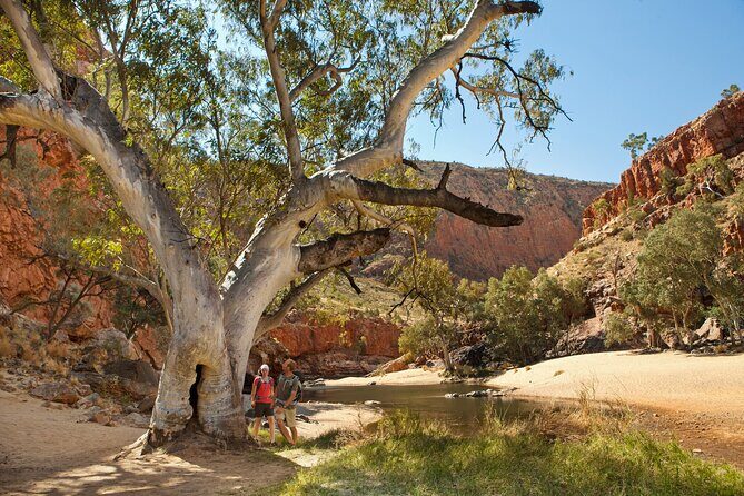 West MacDonnell Ranges Tour from Alice Springs - A Deep Dive into the Itinerary