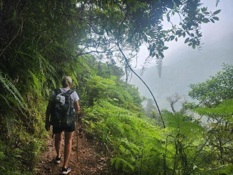 West Manggarai: Waerebo Traditional Village 2-Day Road Trip - An Adventure through Nature and Culture