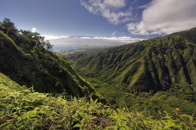 West Maui Adventure Tour with Private Guide - West Maui Adventure Tour with Private Guide: An In-Depth Look