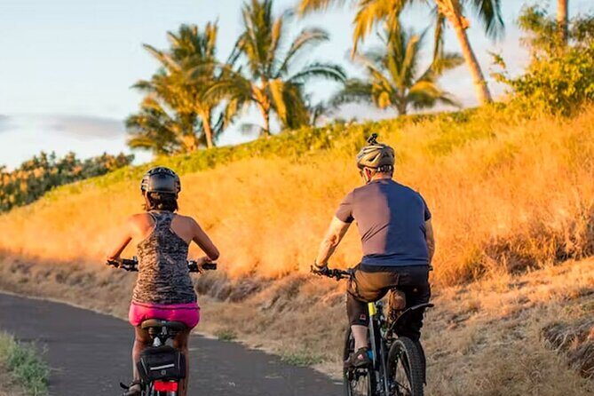 West Maui eBike Island Explorer Full-Day Rental - Why Choose the West Maui eBike Island Explorer?