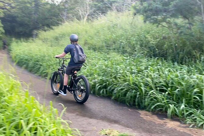 West Maui eBike Island Explorer Full-Day Rental - What Makes Electric Bikes a Game-Changer?