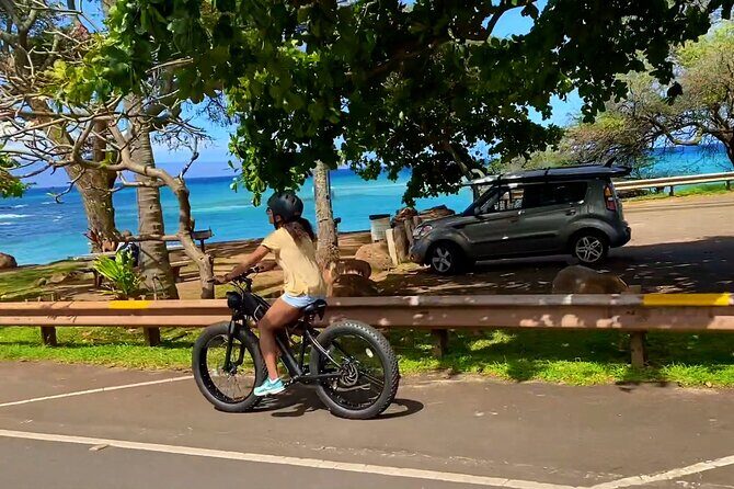 West Maui eBike Island Explorer Full-Day Rental - What’s the Experience Worth?