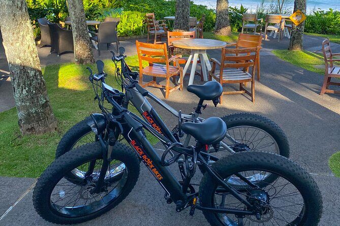 West Maui Electric Bike Rentals - Who Is This Experience Best For?