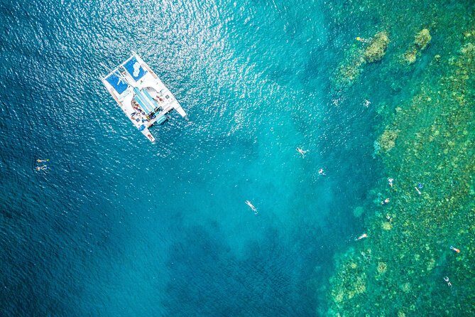 West Maui Half Day Snorkel from Kaanapali Beach - Introduction: A Snorkeling Adventure in Maui’s West Coast