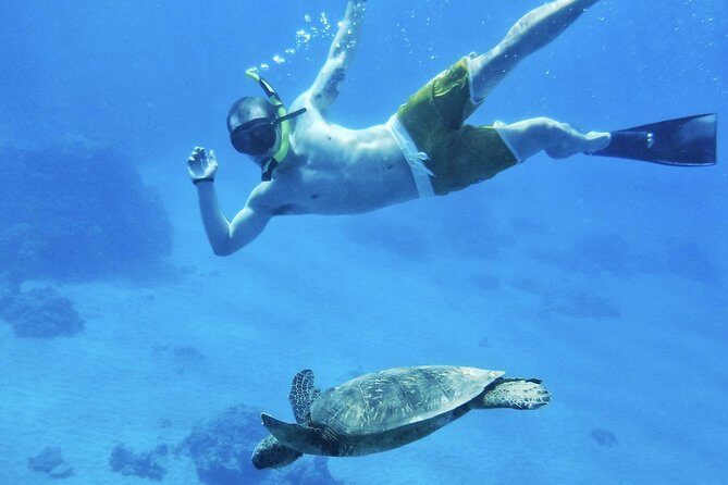 West Maui Half Day Snorkel from Kaanapali Beach - Key Points