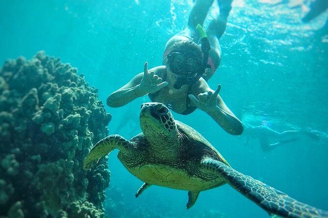 West Maui Half Day Snorkel from Kaanapali Beach - Overall Value & Considerations