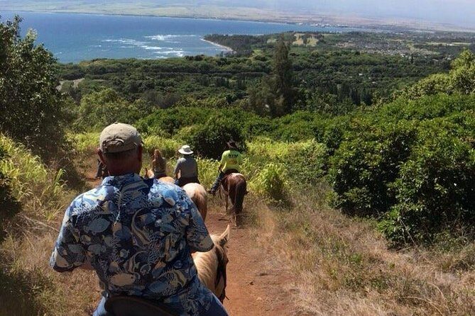 West Maui Mountain Waterfall and Ocean Tour via Horseback - A Hands-On Look at the Maui Horseback Tour