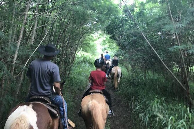West Maui Mountain Waterfall and Ocean Tour via Horseback - The Sum Up