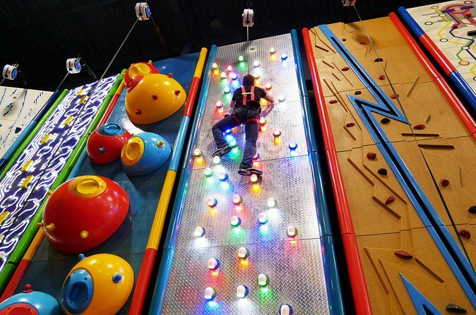 West Michigan Adventure Park with Ropes Climbing and Zip Lines - Who Will Love This Experience?