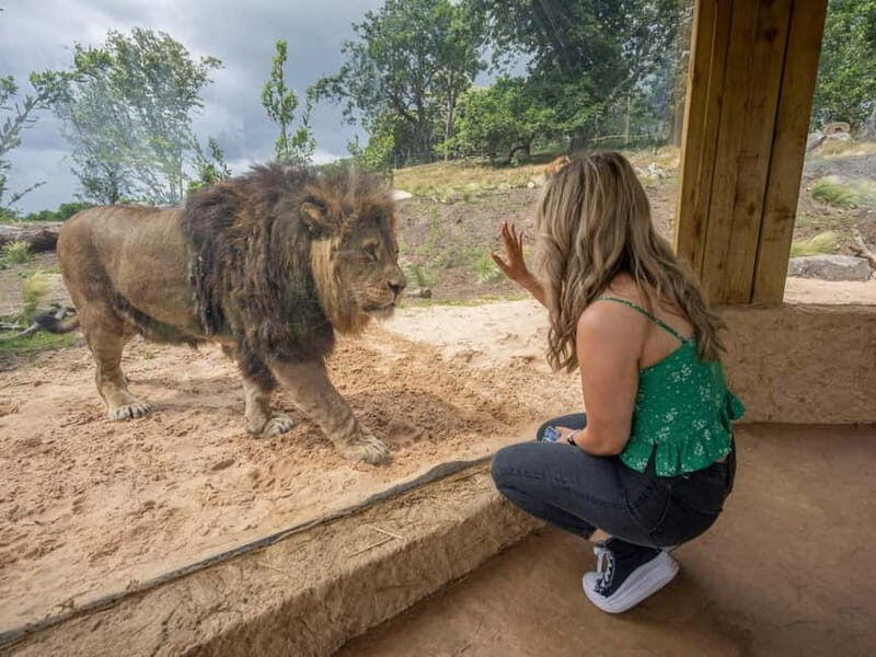 West Midlands Safari Park: Day Admission Ticket - Key Points