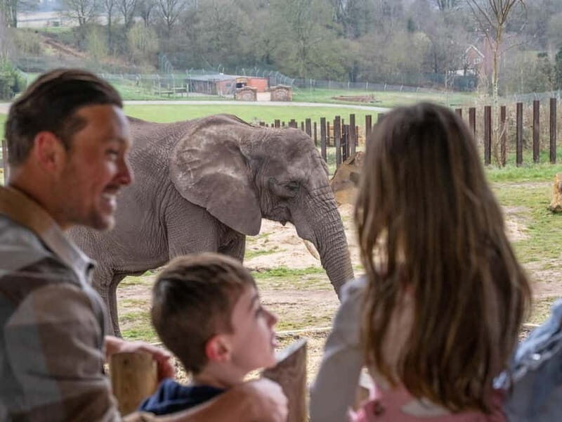 West Midlands Safari Park: Day Admission Ticket - Who Will Love This Day Out?