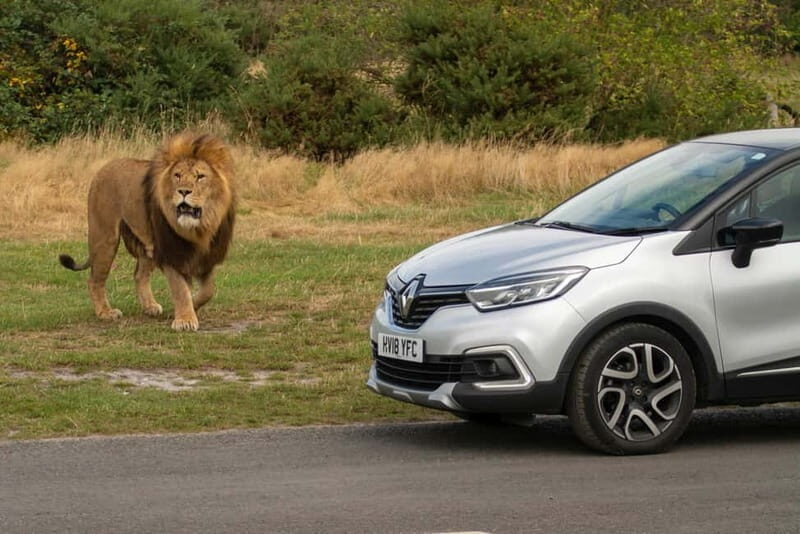 West Midlands Safari Park: Day Admission Ticket - Final Thoughts