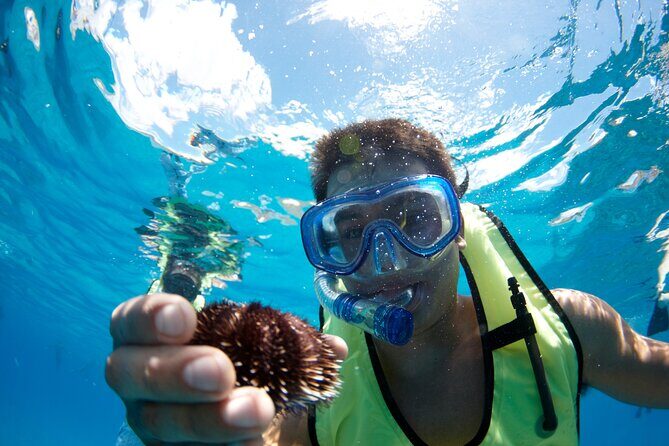 West Oahu Green Sea Turtle and Dolphin Snorkel Sail with Lunch - Frequently Asked Questions