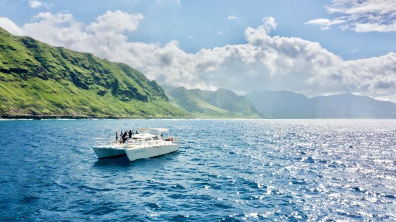 West O'ahu: Swim with Dolphins Catamaran Cruise - West Oahu: Swim with Dolphins Catamaran Cruise – A Realistic Look
