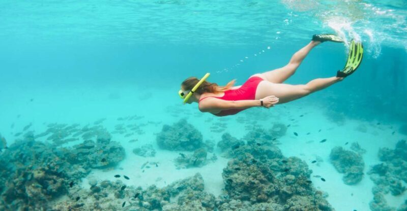 West Oahu: Turtles, Dolphins, and Snorkeling Tour with Lunch - Practical Tips for Your Trip
