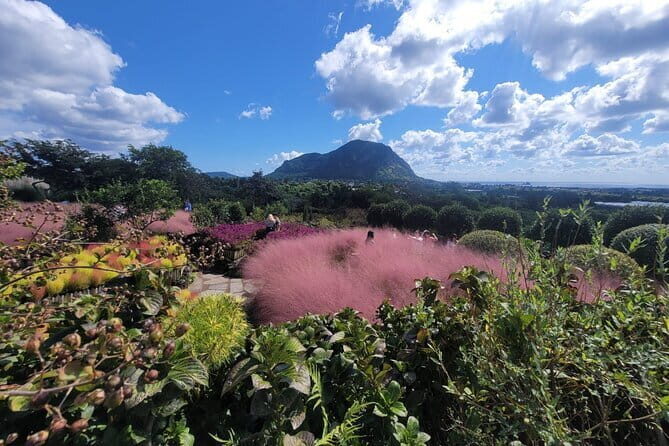 West of jeju private Jumbo taxi tour with Mr.KO (Suhong) - Detailed Breakdown of the Itinerary
