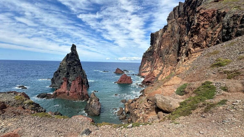 West of Madeira: Guided Tour with Fanal Forest - Who Will Love This Tour?