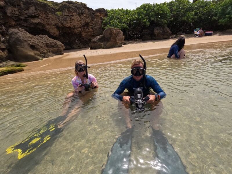 West Palm Beach: Beginner Jet Snorkel Tour with Videos - What This Tour Offers: A Detailed Look