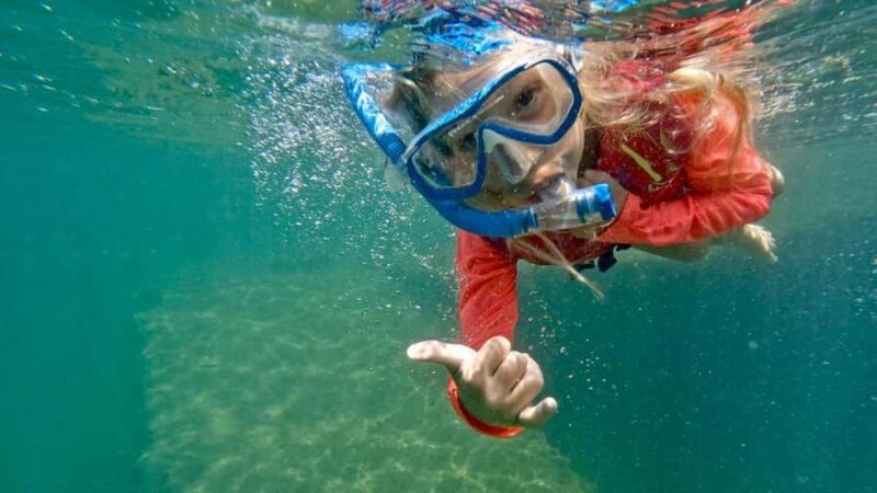 West Palm Beach: Beginner Snorkel Tour with Turtles & Videos - What to Expect from the Tour