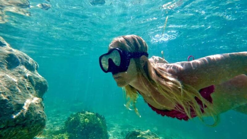West Palm Beach: Beginner Snorkel Tour with Turtles & Videos - Who Is This Tour Best For?