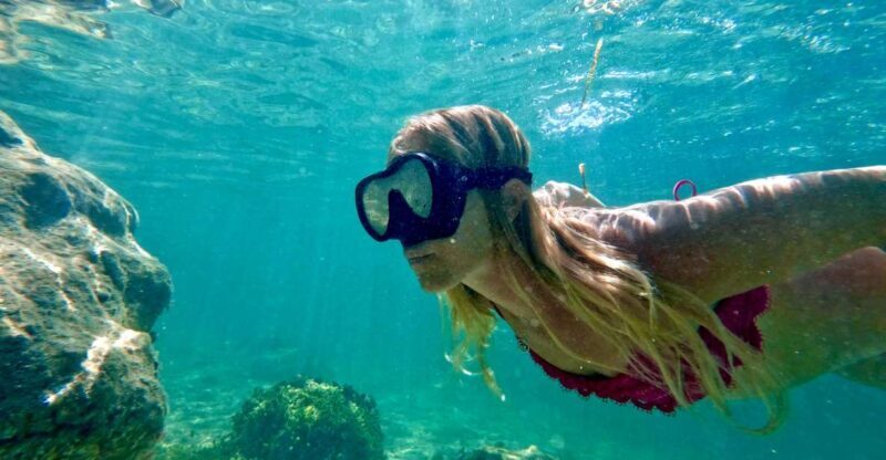 West Palm Beach: Beginner Snorkel Tour with Turtles & Videos - The Experience in Detail