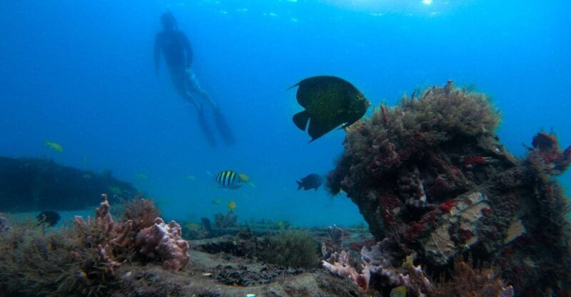 West Palm Beach: Blue Heron Bridge Guided Snorkeling Tour - An In-Depth Look at the Experience