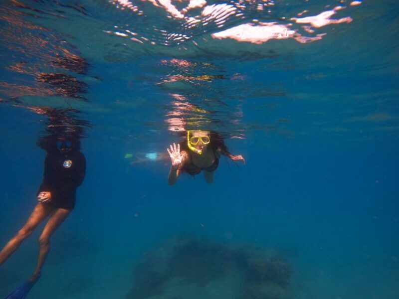 West Palm Beach: Blue Heron Bridge Guided Snorkeling Tour - Why This Tour Offers Great Value