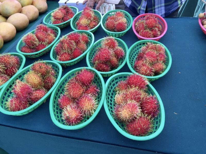 West Palm Beach: Mornings in the Market Food Tour - A Detailed Look at the Experience
