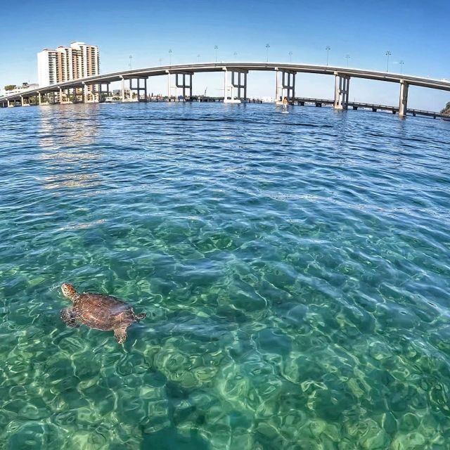 West Palm Beach: Private Peanut Island Boat & Snorkel Tour - Why This Tour Offers Great Value
