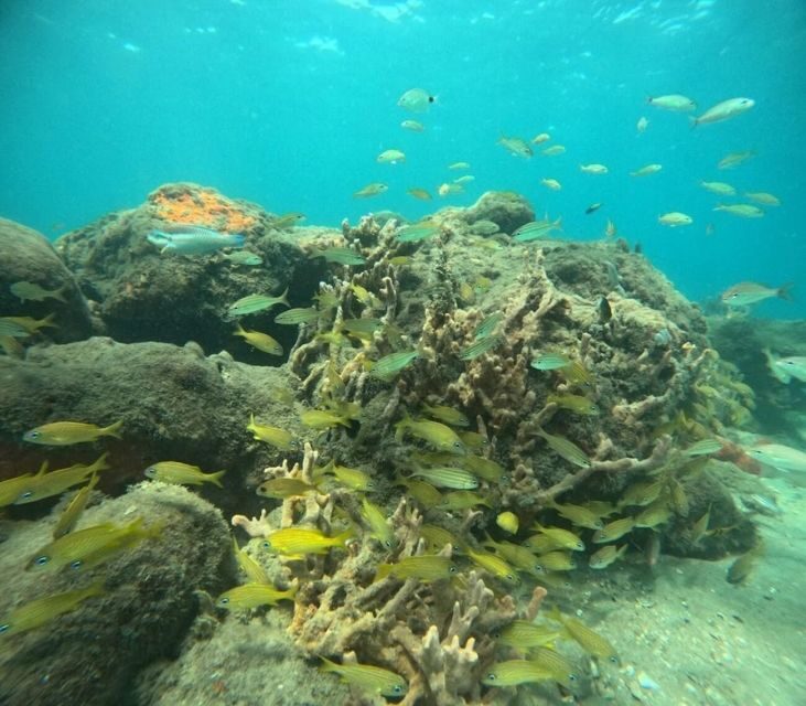 West Palm Beach: Private Peanut Island Boat & Snorkel Tour - FAQ